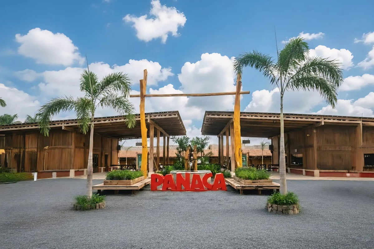 Panaca Dominicana
